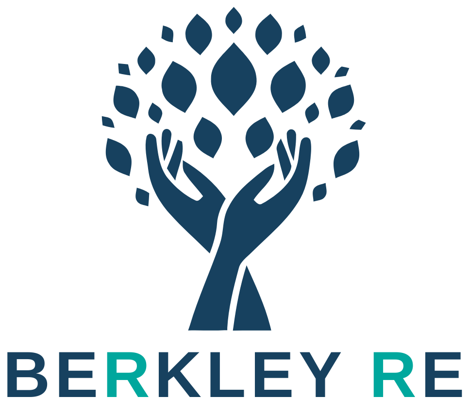 Reinsurance & Risk Management Services in South Africa | Berkley RE